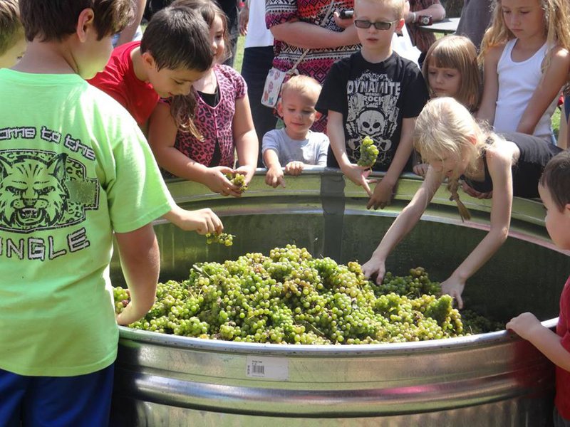 Grape Stomp Festival - MetroFamily Magazine