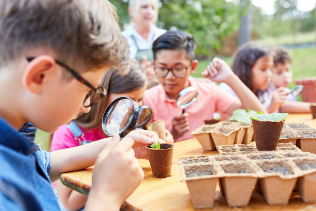 Science in the Garden: Decomposers at Myriad Gardens - MetroFamily Magazine